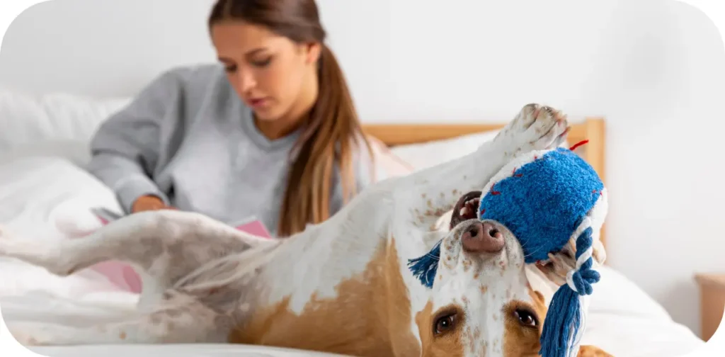 10 Key Dog Health Symptoms Every Pet Owner Should Know